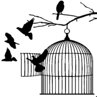 daniel loick – philosophie | politische theorie | sozialtheorie